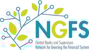 NGFS - Network of Central Banks and Supervisors for Greening the ...